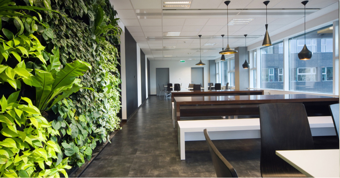 The Truth About Green Offices